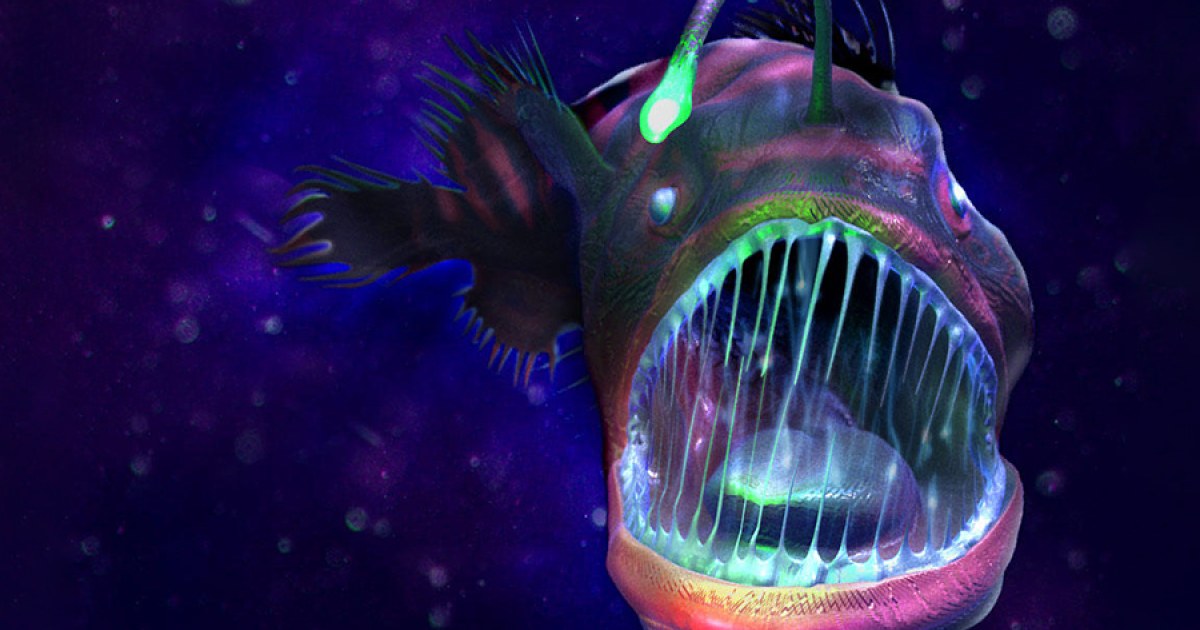 Glowing Deep Water Fish
